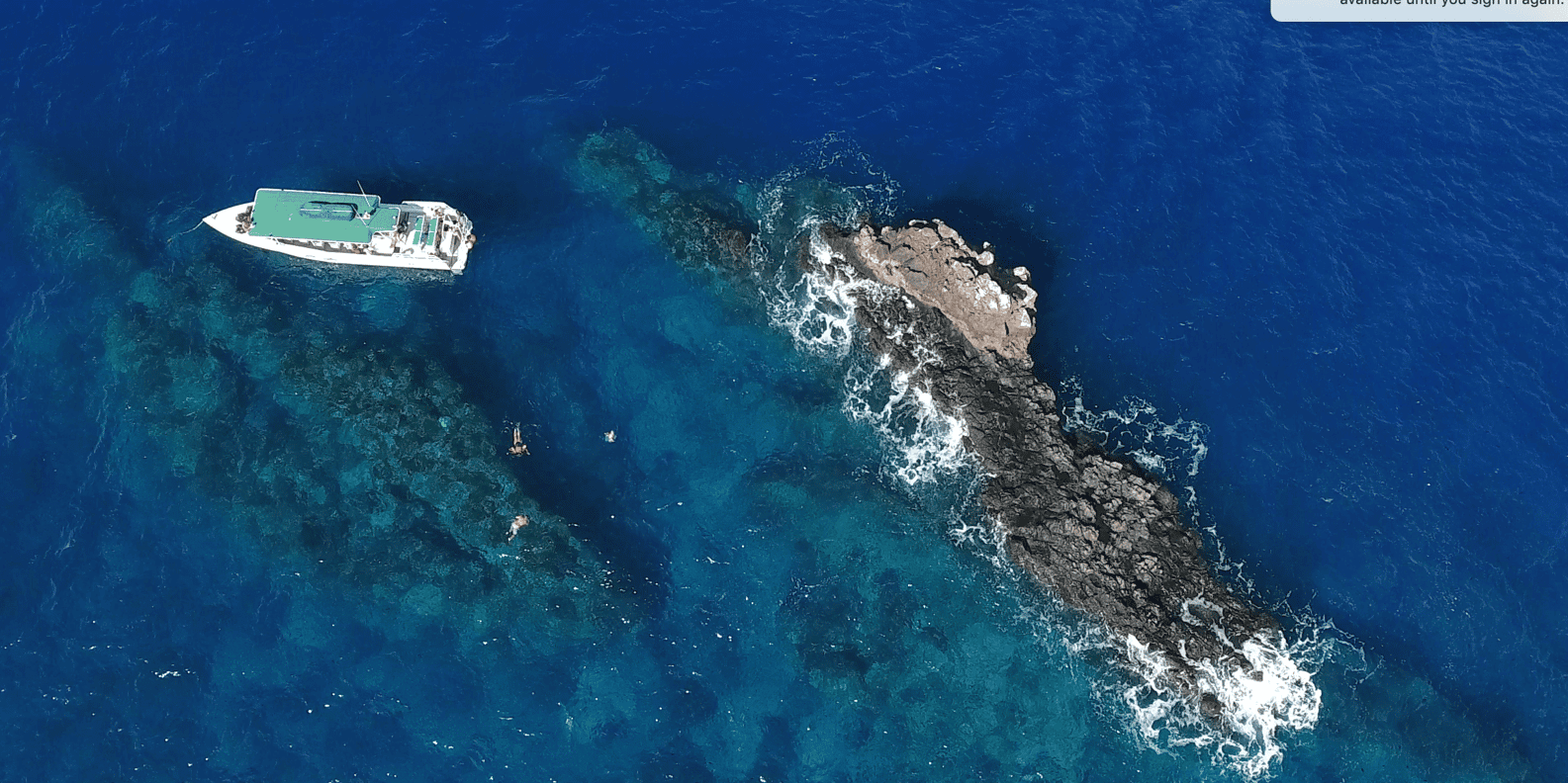 Kaanapali Beach Lanai Snorkeling Tour | Maui Tours | TourTruth